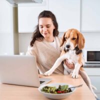 How Much to Feed a Pug (Feeding Chart & Guide)