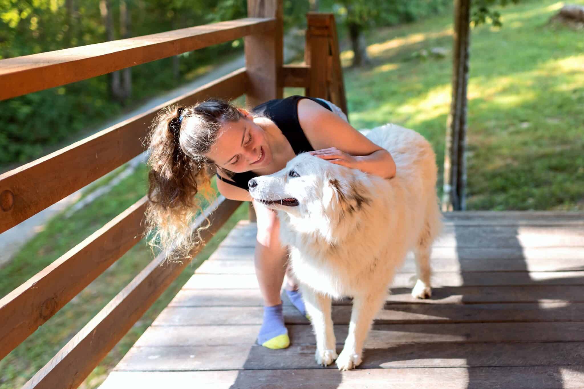 How Much Does a Great Pyrenees Cost? (2026 Updated)